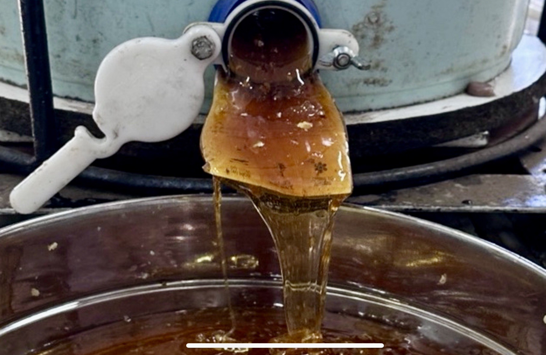 Honey always flows down – Andrew Hillier